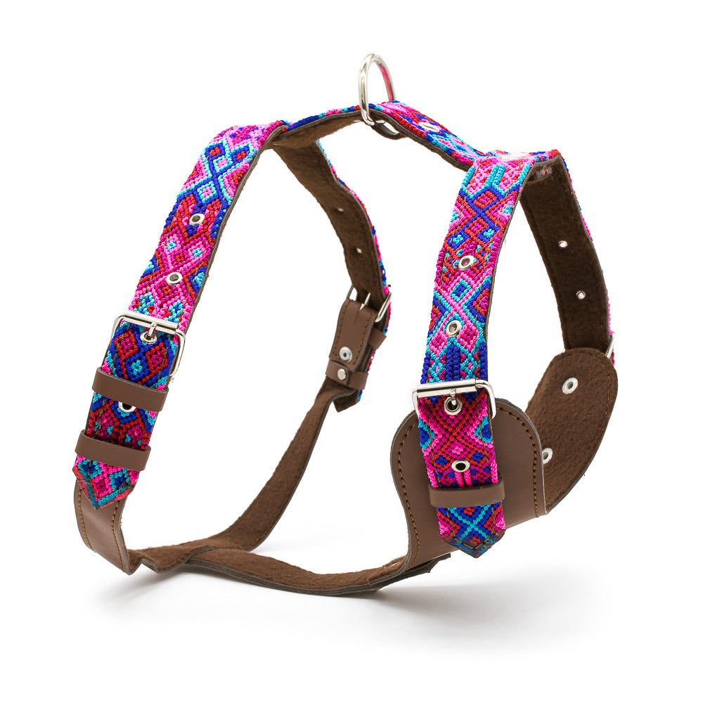 Arnés para perros Órale – LadranGaucho